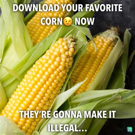 Word Of Warning Meme On Imgur