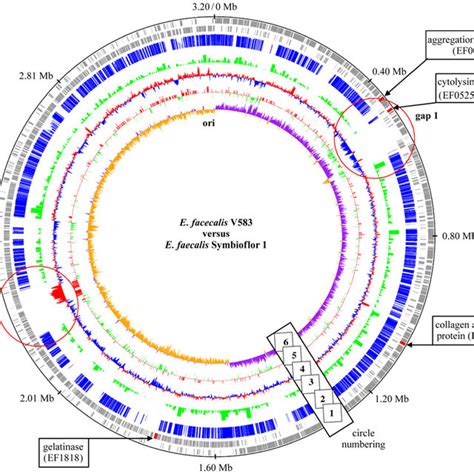 Circular Representation Of The Whole Genome Comparison Of The Clinical