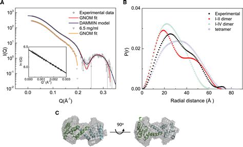 Tetrameric Structure Of A Serine Integrase Catalytic Domain Structure