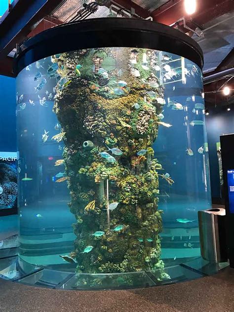 Indoor Oceans The Aquarium At Moody Gardens Galveston Island Texas