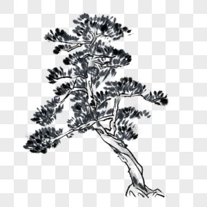 松树元素素材下载 正版素材401619690 摄图网