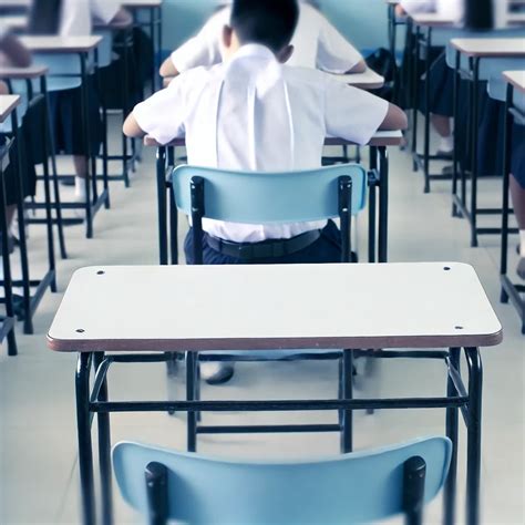 Exclusión Escolar Causa Y Efecto Nueva Nación