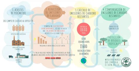 Pan Wasa Mercadona Y Sus 6 Nuevas Variedades