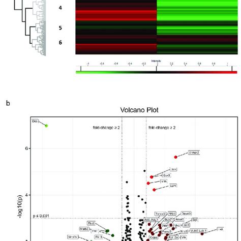 Quantitative Proteomic Analysis Of Left Ventricular Cardiac Tissue