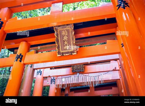 Bright Red Torii Gates Lining The Pathway Of Fushimi Inari Taisha One