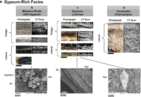 Continued B High Resolution Photographs Sem Images And
