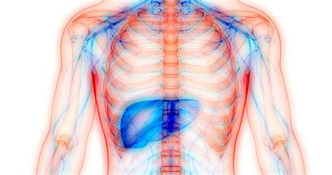 Causes Risk Factors And Complications Of Disseminated Intravascular Coagulation Dic