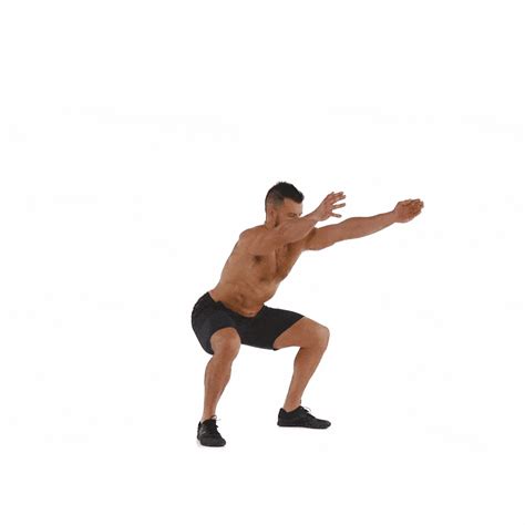 Bodyweight Squat Bodyweight Squats Workout Latest Tiktok Shop