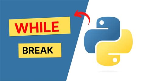 19 Bucle While En Python Curso De Python Youtube