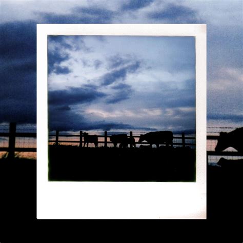 Sunset Silhouettes On Fotorama 880 And Instax Square Rinstax