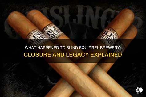 What Happened To Blind Squirrel Brewery Closure And Legacy Explained