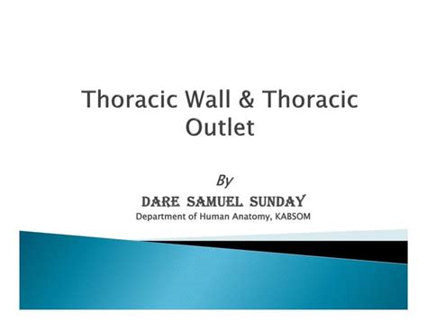 Thoracic Cage Thoracic Inlet Pdf