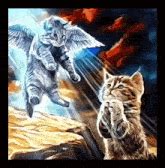 Cat Pray S Tenor