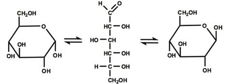 Biochem Exam 3 Final Vocab Flashcards Quizlet