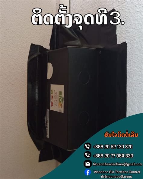 Vientiane Bio Termites Control ກຳຈັດປວກແບບຊີວະພາບ Vientiane
