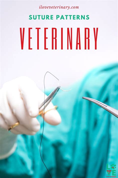 Veterinary Suture Patterns Pattern Inspiration Daily