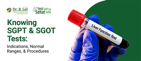 Sgpt And Sgot Test Normal Ranges Indication And Procedure Dr B Lal Lab