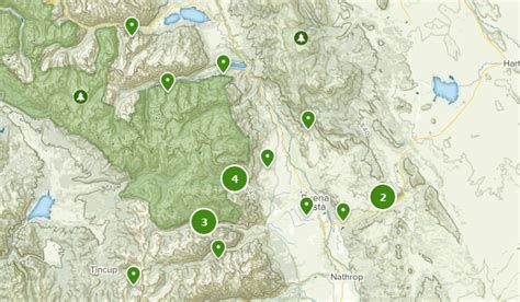 Best Camping Trails Near Buena Vista Colorado Alltrails