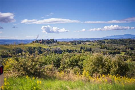 Scenic Shot Of Trees And Grass Field Across A Field Stock Image Image