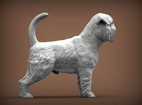 Файл 3d Brussels Griffon 3d Print Model・Модель 3d принтера для загрузки