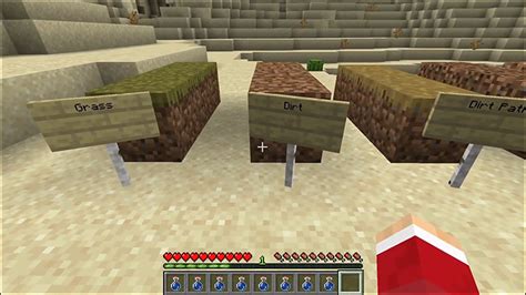 Dirt Minecraft