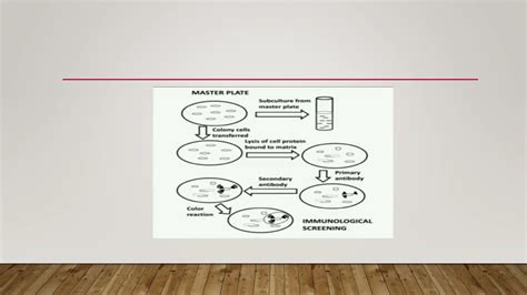Recombinant Dna Technology Immunological Screening Pptx