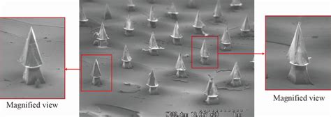 Produced Arrayed Tip Separable Microneedle Device Download Scientific Diagram