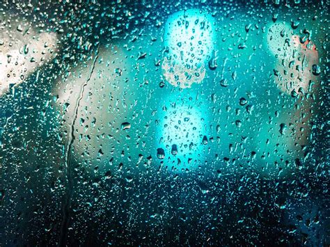 小熊猫c 14 发布