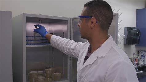 Video Serial Dilutions And Plating Microbial Enumeration