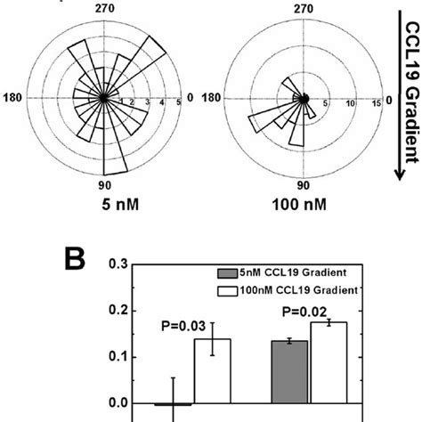T Cell Migration In A Gradient Or A Uniform Field Of Ccl21 A