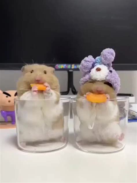 Bad Ass Monstrosity Album On Imgur