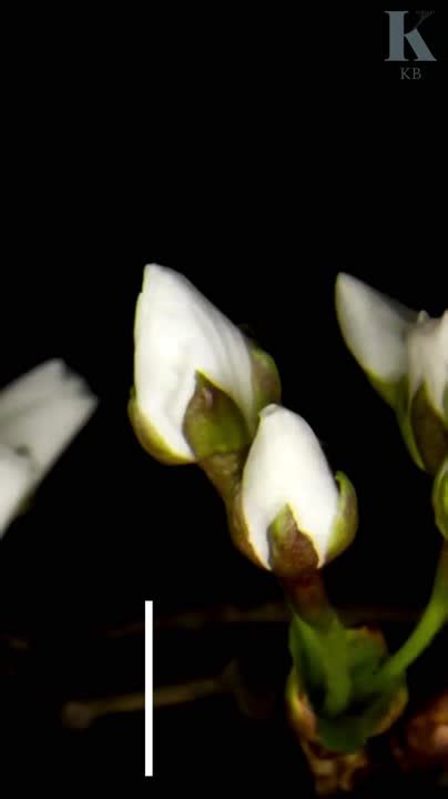 Kyzia Lei Bacat M Ps S I Rqtu On Linkedin Newbeginnings Embraceopportunity Growthmindset