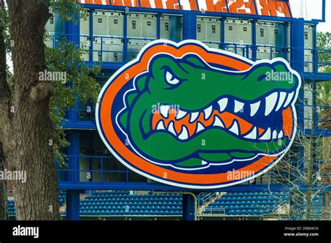 University Of Florida Gator Logo Florida Gators Womens Basketball