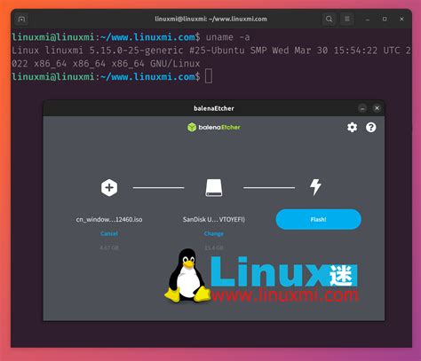 如何在 Linux 上创建 Windows 可启动 U 盘 Linux迷