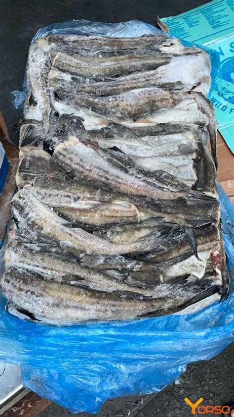 Pollock Frozen Headless 25