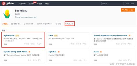 Mybatis Plus 详解mybatisplus Csdn博客
