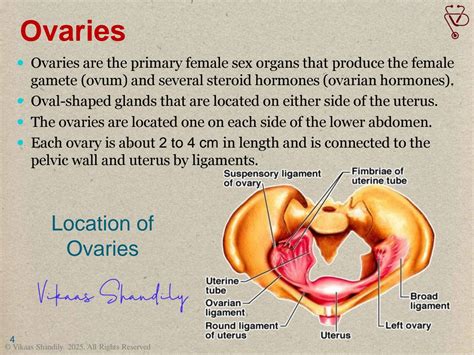 Vikaas Shandily Facebook