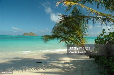 Lani Photos And Premium High Res Pictures Getty Images