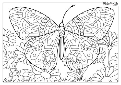 Butterfly Mandala Coloring Pages Printable [2025]