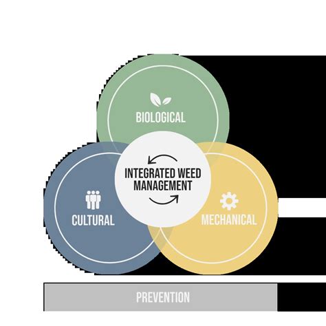Integrated Weed Management For Amenity