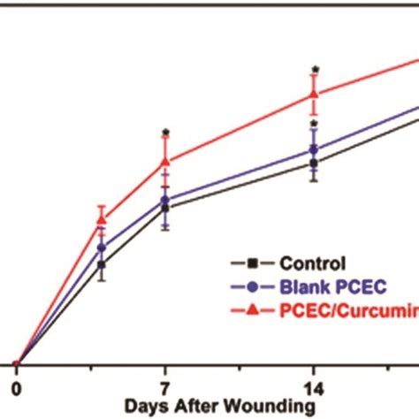 Time Dependence Of Percent Wound Healing Of The Full Thickness Skin