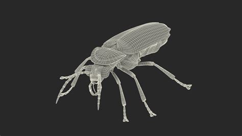 Glowing Big Dipper Firefly Crawling Pose Fur 3d Turbosquid 2170455