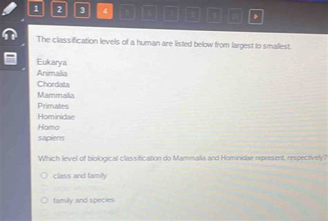 Solved 1 2 3 4 5 E 1 B B 20 The Classification Levels Of A Human Are Listed Below From Largest