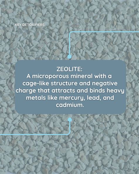 Supplement Of The Week Hm Et Binder By Cellcore Functional Medicine