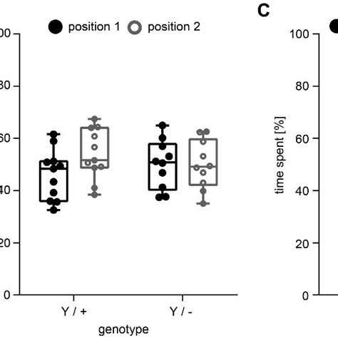 Object Recognition Memory Is Not Altered In Syap1 Knockout Males