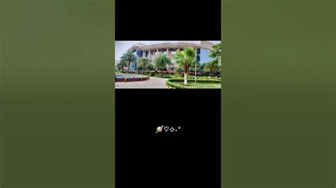 Powergrid Pal Manesar 🎀 Paldiaries♡ Youtube