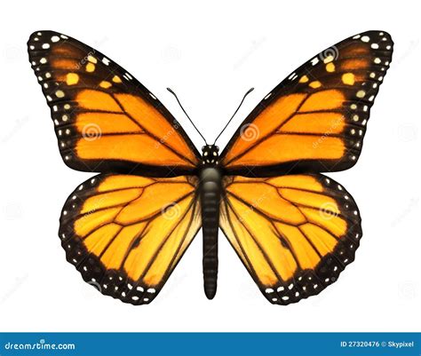 Monarch Butterfly Royalty Free Stock Image Image 27320476