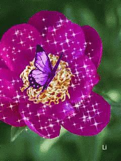 Animated Butterfly And Flower Gif