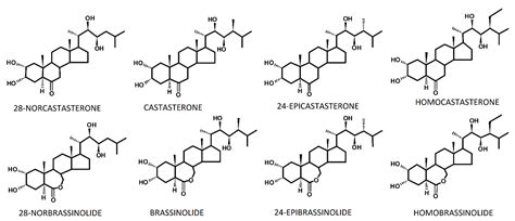 Brassinosteroids And The Tolerance Of Cereals To Low And High