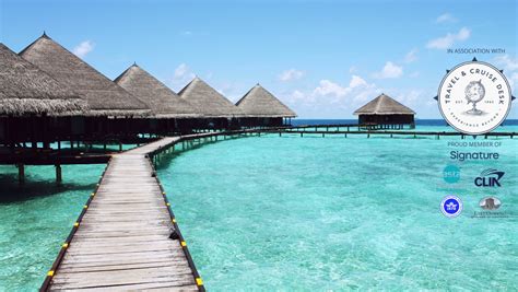 Alyssa Willard Travel Advisor Estacada Or